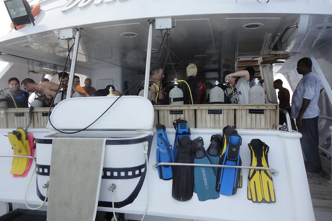 Diving Baptism - The Sum Up