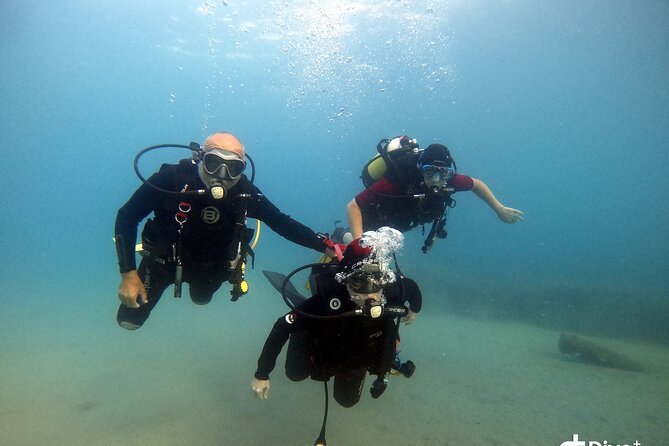 Diving Baptism in the Marine Reserve of Cabo Tiñoso - Booking and Confirmation