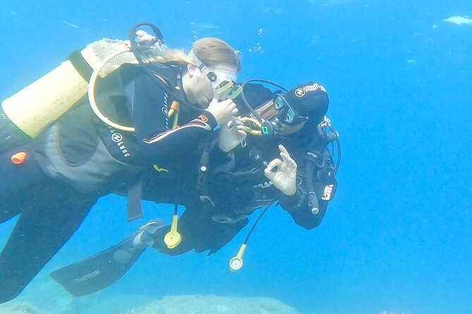 Diving baptism with cylinders (Introdive) at the Capo Carbonara Marine Protected Area - The Marine Environment: Why It’s Worth It