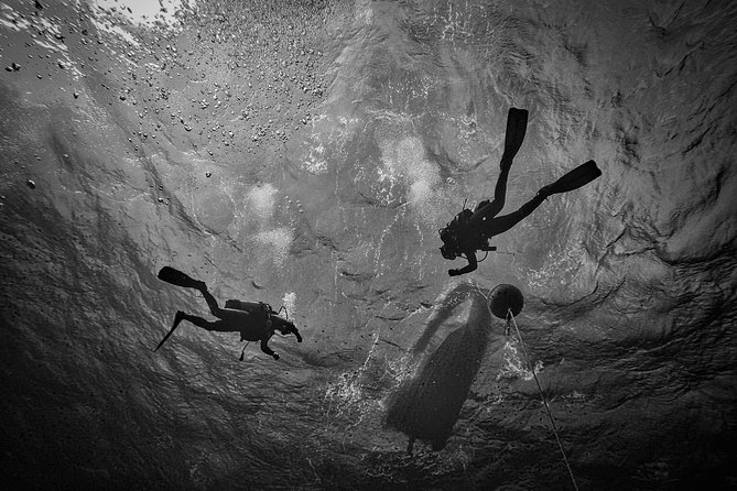 Diving baptism with cylinders (Introdive) at the Capo Carbonara Marine Protected Area - FAQs