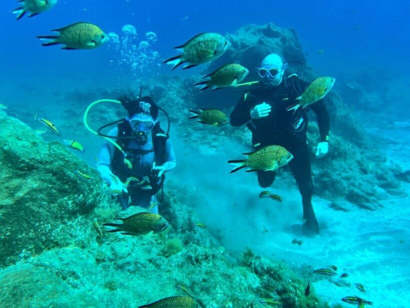 Diving course for beginners in turtle area Tenerife - What Sets This Tour Apart