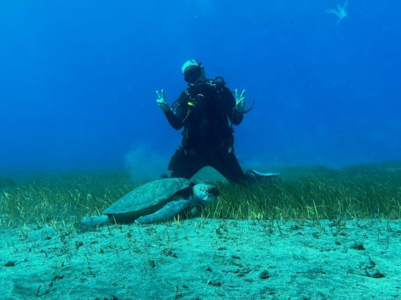 Diving course for beginners in turtle area Tenerife - The Bottom Line: Who Will Love This?