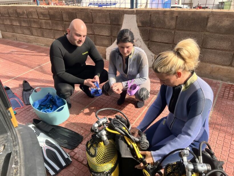 Diving course for beginners in turtle area Tenerife - The Sum Up