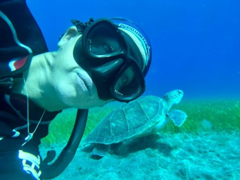Diving course for beginners in turtle area Tenerife - FAQ
