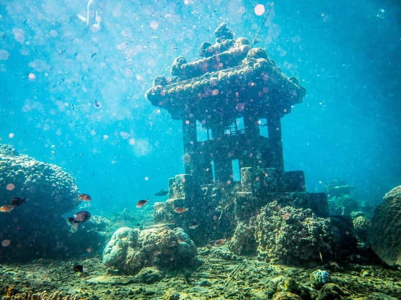 Diving course site for Beginers in Tulamben - The Highlights of Tulamben Diving