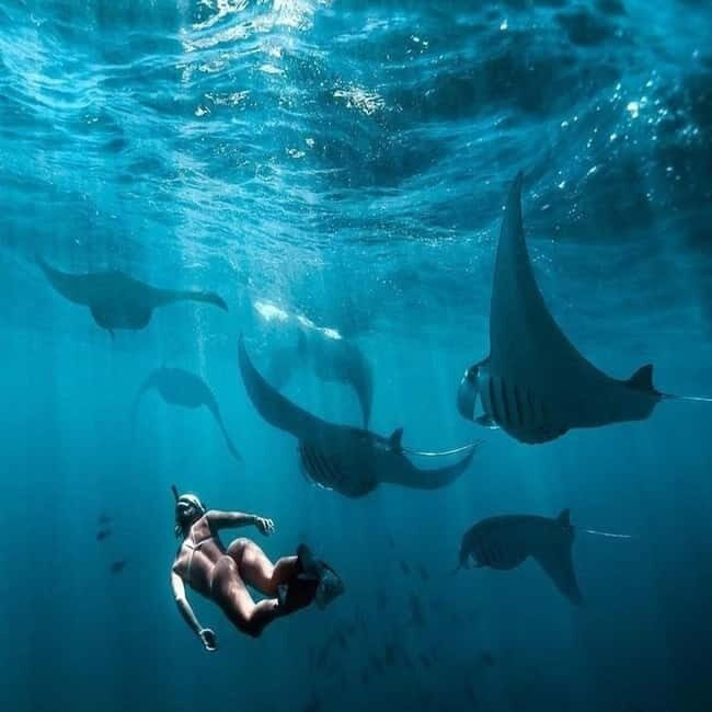 Diving course site for Beginers in Tulamben - What the Price Truly Offers