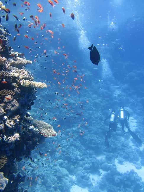 Diving course site for Beginers in Tulamben - Practical Tips for Your Dive Day in Tulamben