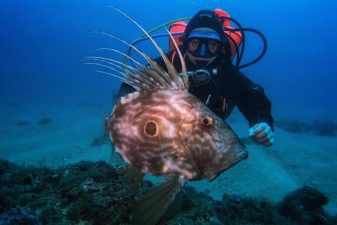 Diving Course with PADI Certification in Costa Brava - Who Will Love This Experience?