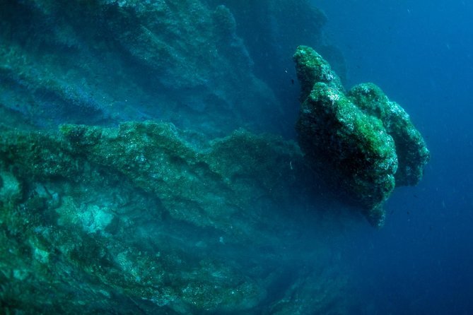 Diving Day Tour With 2 Dives - Meeting Point Location