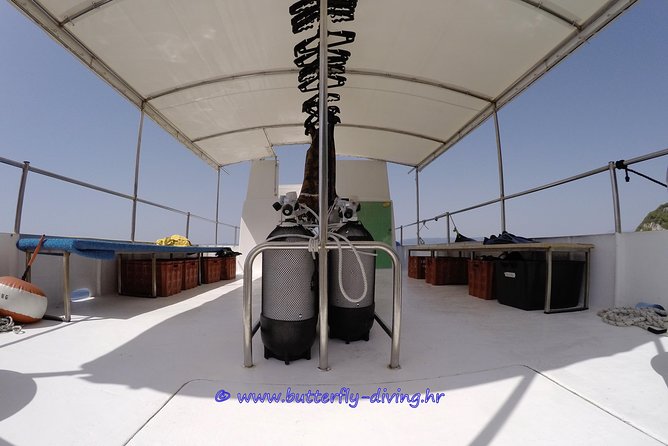 Diving Day Tour With 2 Dives - Booking and Cancellation Policy