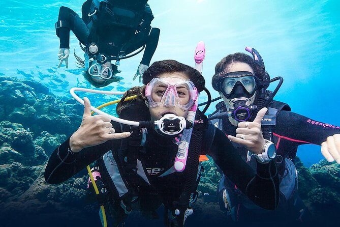 Diving for Certified Divers, 2 Tanks Sosúa Bay - Analyzing Value and Practical Considerations