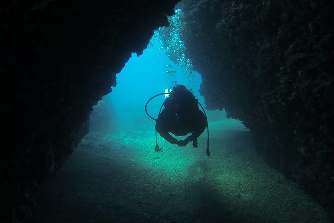 Diving for Patented Divers - Tour Information and Schedule