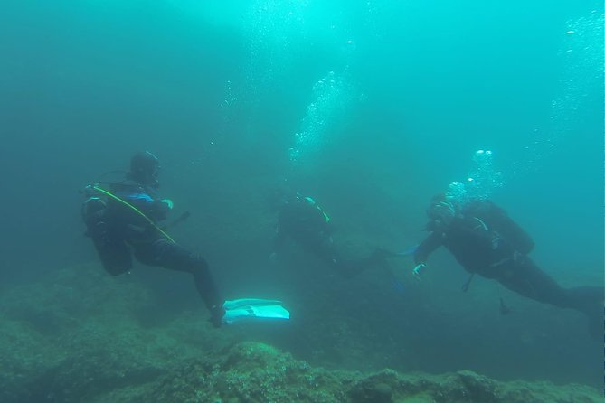 Diving for Patented Divers - Pricing and Booking Options