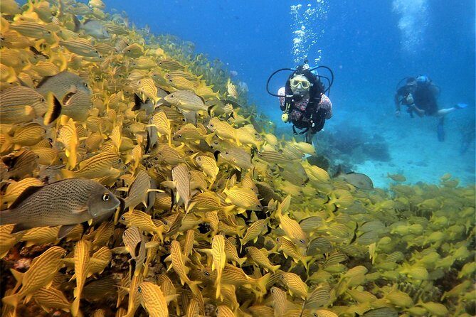 Diving in Cancun Underwater Museum of Art - FAQ