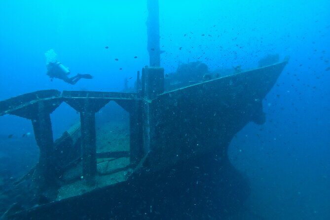 Diving in Colombo - Introduction: Why Consider a Colombo Scuba Tour?