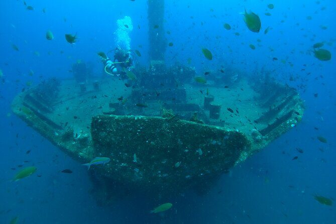 Diving in Colombo - Reviews and Authentic Perspectives