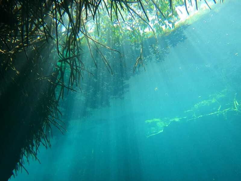 DIVING IN MAYAN CENOTES; THE LARGEST AQUIFER IN THE WORLD - Who Should Consider This Tour?