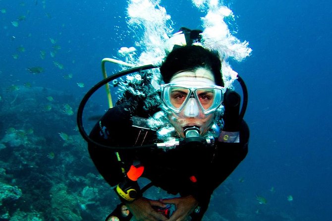 Diving in the Mediterranean Sea - Suitability for Beginners