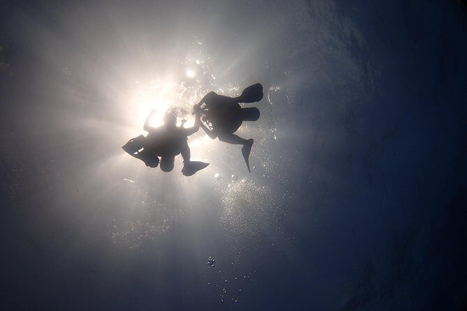Diving in the Mexican Caribbean for Beginners | 2 Tanks 2 Dives | All Inclusive - Final Thoughts