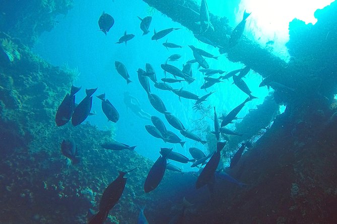 Diving in Tulamben - Engaging Meta Description: