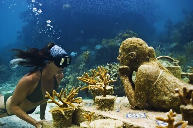 Diving + Muse - Exploring the Itinerary: What to Expect