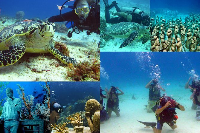 Diving + Muse - The Sum Up: Is It Worth It?