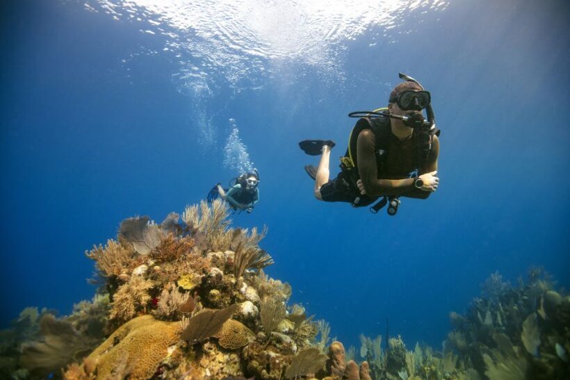 Diving Santa Marta & Tayrona for Certified Divers (2 tanks) - FAQs