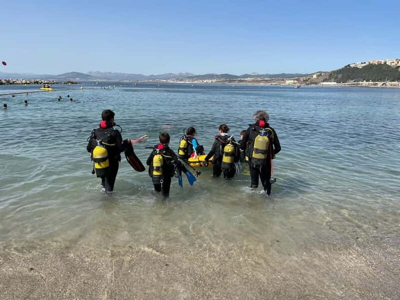 Diving - Introduction to the Experience
