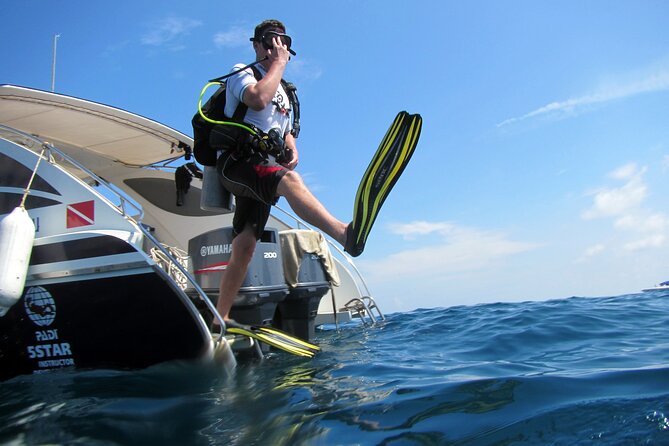 Diving Tour for Certified Divers: Sail Rock or Koh Tao - Key Points