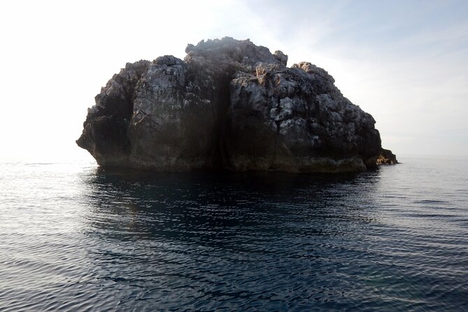Diving Tour for Certified Divers: Sail Rock or Koh Tao - Final Words