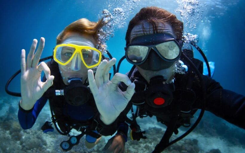 Diving Tour from Alanya & Side with Lunch - 2 Dives Included - A Detailed Look at the Tour Experience