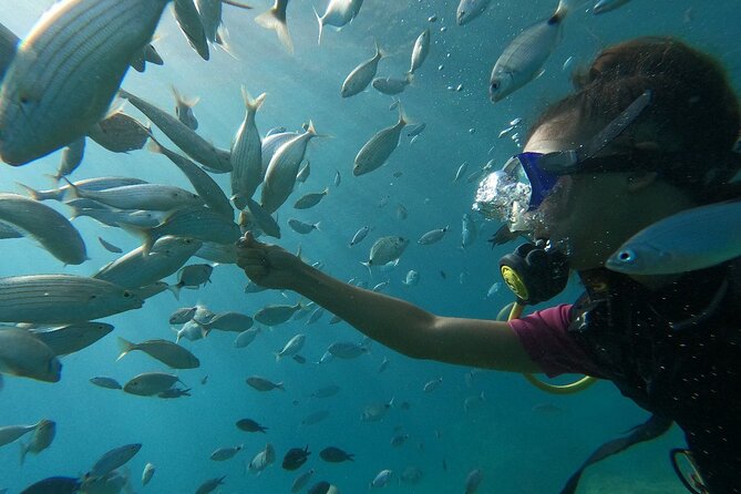 Diving With Optional Pick up - Drop off From Antalya - Instructor Support and Comfort