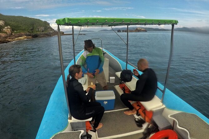 Diving With Turtles in Floripa - Highlights of the Dive Experience