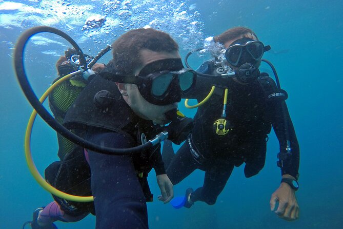 Diving With Turtles in Floripa - Safety Considerations