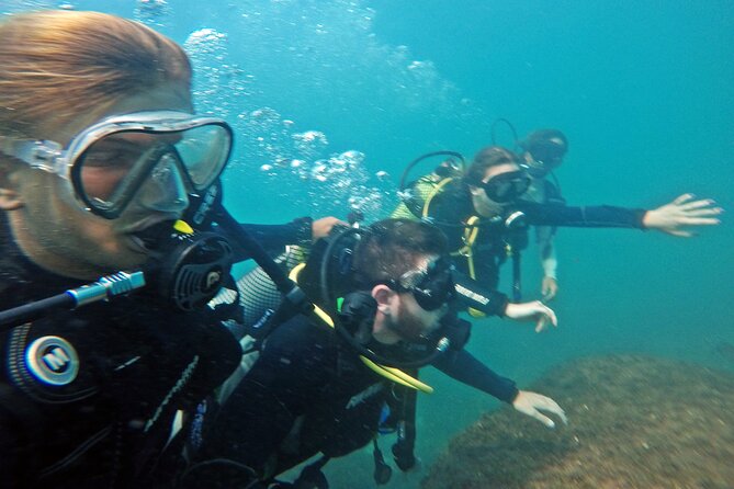 Diving With Turtles in Floripa - Feedback From Participants