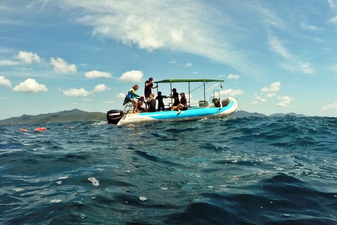 Diving With Turtles in Floripa - Planning Your Diving Excursion