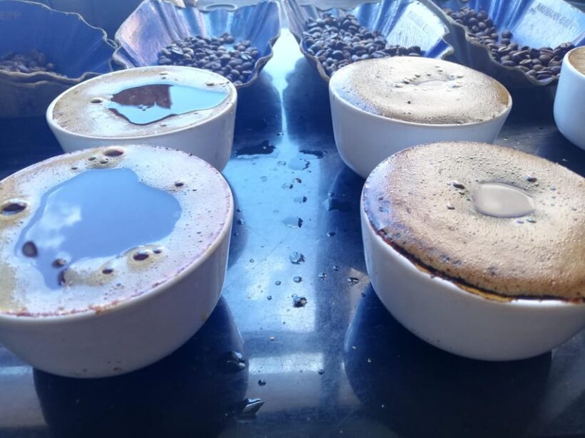 DIY Coffee Roasting in Berlin - Practical Details and Tips