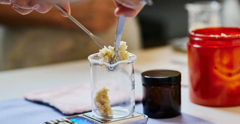 DIY organic plants cosmetics Workshop - Who Will Love This Workshop?