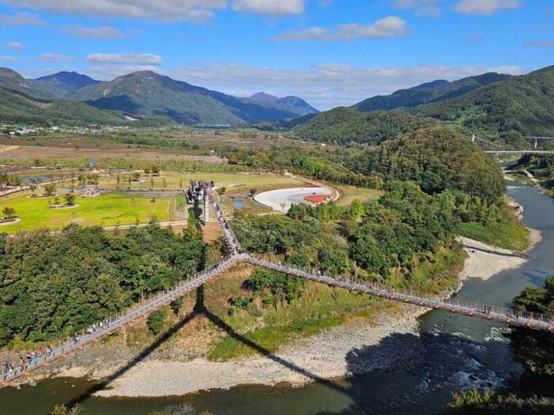 DMZ 2nd tunnel & Y Shaped Suspension Bridge Tour from Seoul - Who Should Book This Tour?