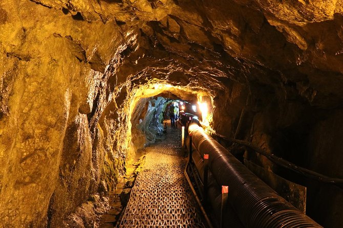 DMZ Tour: 3rd Tunnel, Option(Suspension Bridge, Boat) from Seoul - An Honest Look at the Seoul DMZ Tour from PLK Travel