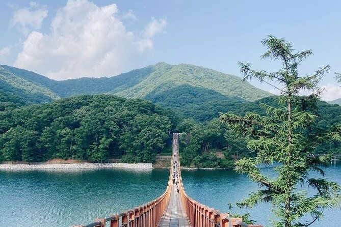 DMZ Tour: 3rd Tunnel, Option(Suspension Bridge, Boat) from Seoul - Who Should Consider This Tour?