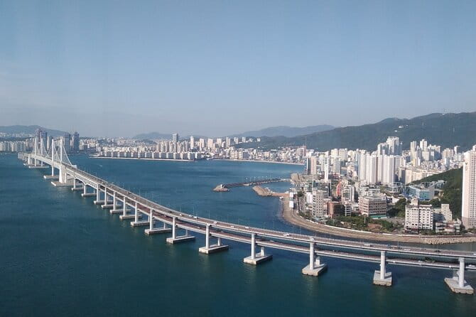 DMZ tour from Seoul and War Memorial of Korea Day Tour - Final Thoughts: Who Will Love This Tour?