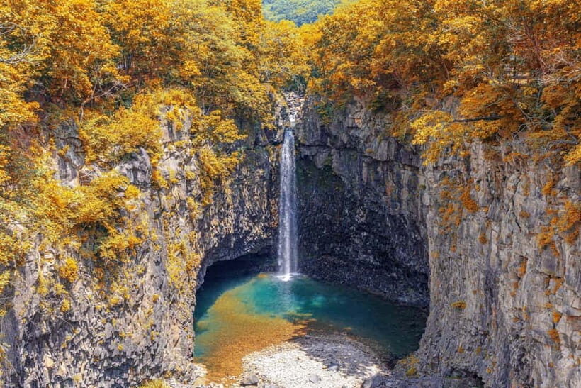 DMZTour from Seoul:3rd Tunnel,North Korea View&UNESCO Valley - Who Is This Tour Best For?