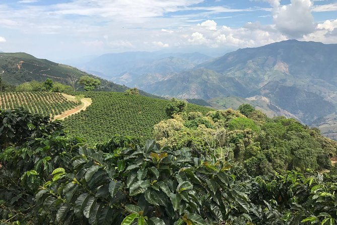 Do It Yourself 11 Days Tour in Colombia (Customizable) - Transportation and Assistance