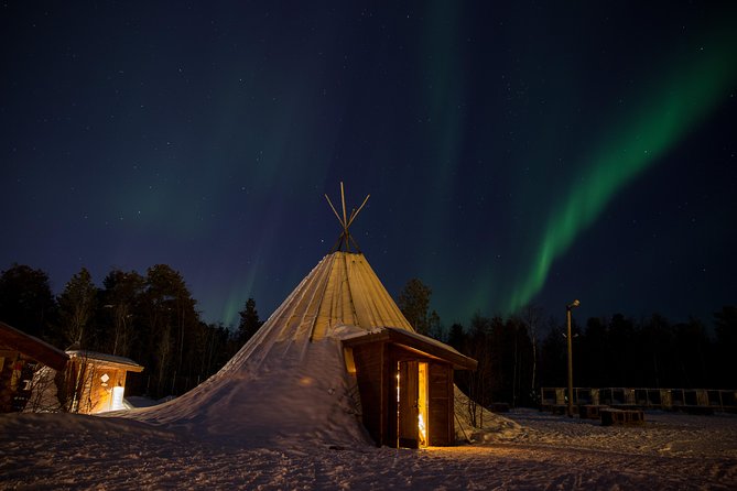 Dog Sled Tour and Husky Cuddles - Driving and Riding the Dog Sled