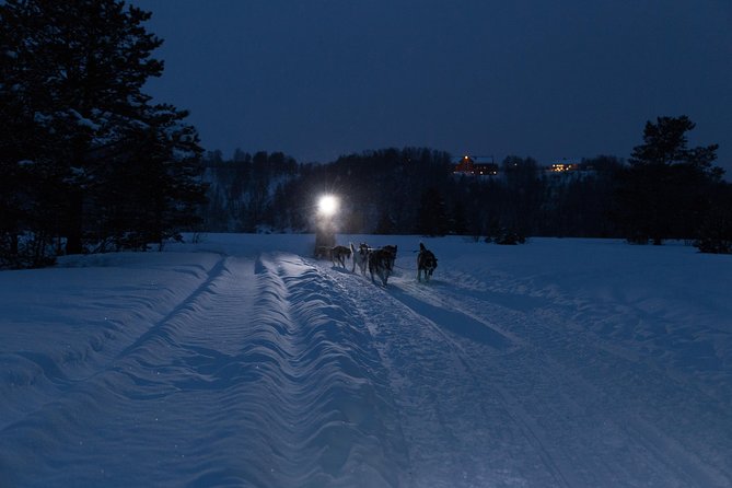 Dog Sled Tour and Husky Cuddles - Enjoying Hot Drinks and Snacks