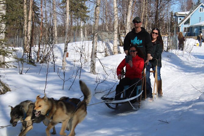Dog Sledding Adventure in Willow, Alaska - FAQ