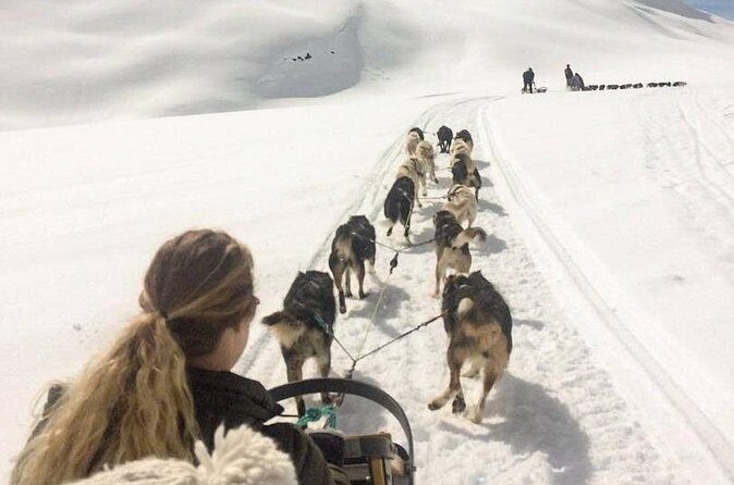 Dog Sledding and Animal Encounters Tour from Anchorage - FAQ