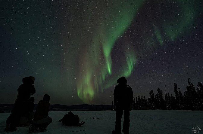 Dog Sledding and Northern Lights Combo Night - Practical Tips for Making the Most of Your Night