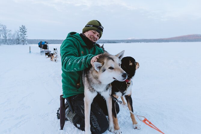Dog sledding excursion to Kiruna - The Scenic and Cultural Highlights